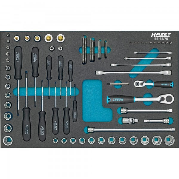 Hazet 75 Pce Tool Set 163-53/75 Modular Insert Tray For Sale Online – Mektronics