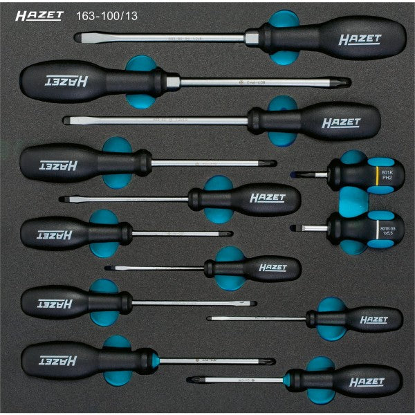 Hazet 13 Pce Screwdriver Set 163-100/13 Modular Insert Tray For Sale Online – Mektronics