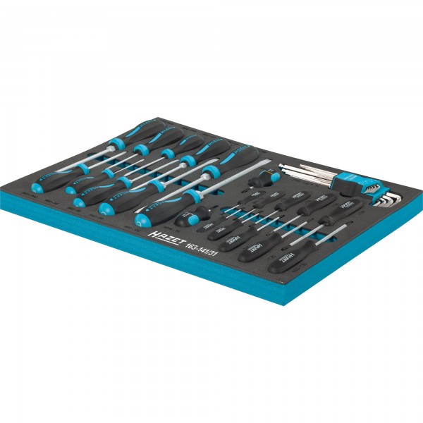 Hazet 31 Pce Screwdriver Set 163-141/31 Modular Insert Tray For Sale Online – Mektronics