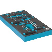 Hazet 9 Pce Torx Screwdriver Set With T-Handle 163-182/9 Modular Insert Tray For Sale Online ...