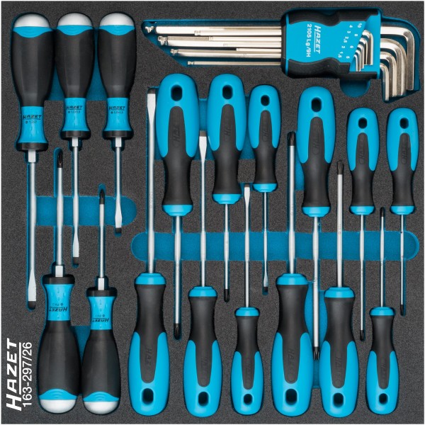 Hazet 26 Pce Screwdriver Set 163-297/26 Modular Insert Tray For Sale Online – Mektronics