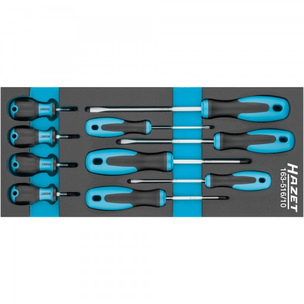 Hazet 10Pce Screwdriver Set 163-516/10 SL & PH Modular Insert Tray For Sale Online – Mektronics