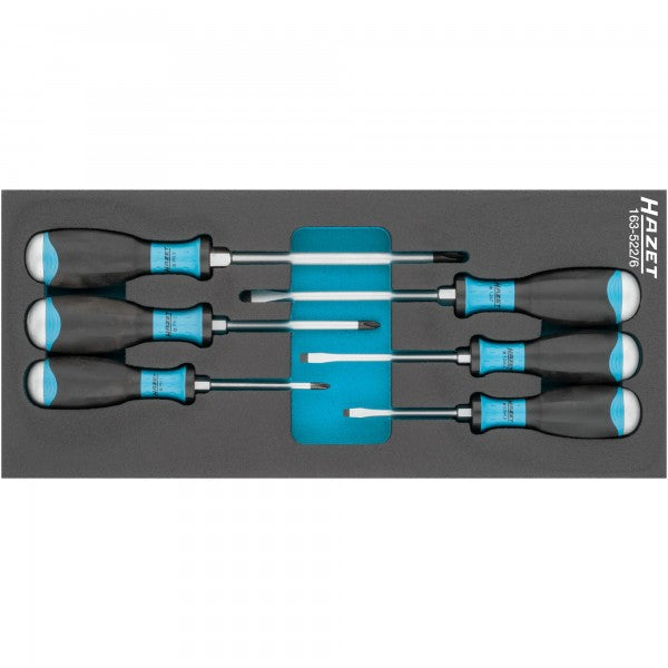 Hazet 6 Pce Screwdriver Set 163-522/6 SL & PH Modular Insert Tray For Sale Online – Mektronics